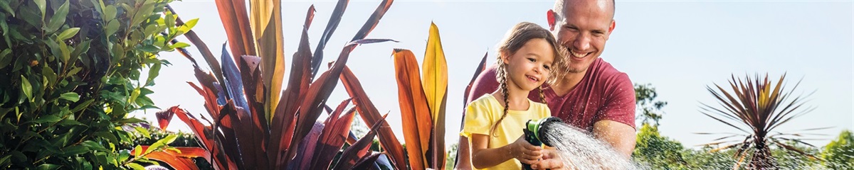 Free Plant Program : Ipswich City Council